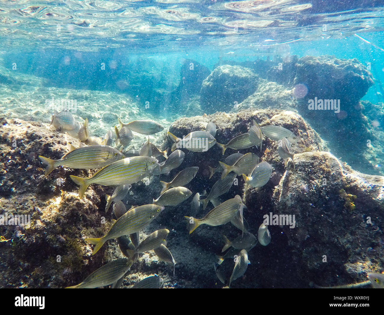 Group of underwater rocks hi-res stock photography and images - Alamy