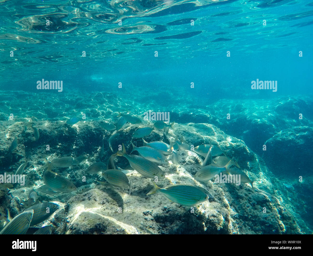 Group of underwater rocks hi-res stock photography and images - Alamy