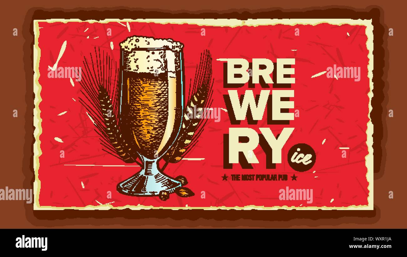 Foamy Beer Glass Brewery Advertising Banner Vector Stock Vector Image ...