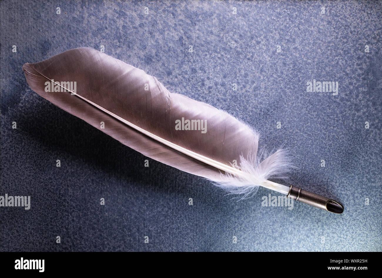 Covenant close hi-res stock photography and images - Alamy