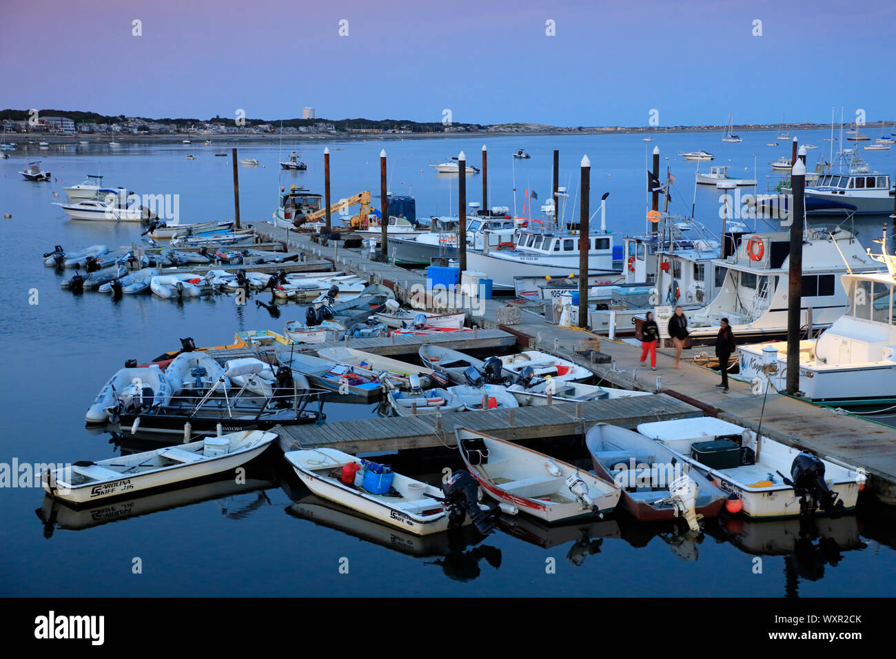 Recreational boats docking along MacMillan Pier after sunset ...