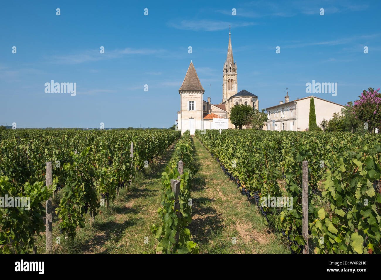 Chateau Saint-Pierre de Pomerol, Bordeaux, France Stock Photo - Alamy