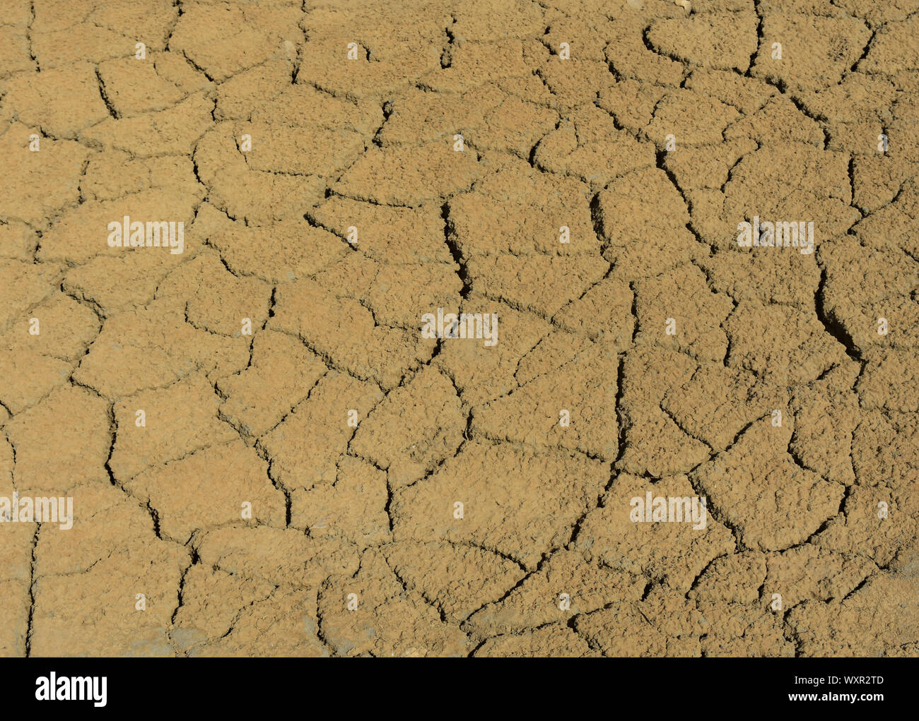 Spanish Lagoon with cracked mud flats Stock Photo - Alamy