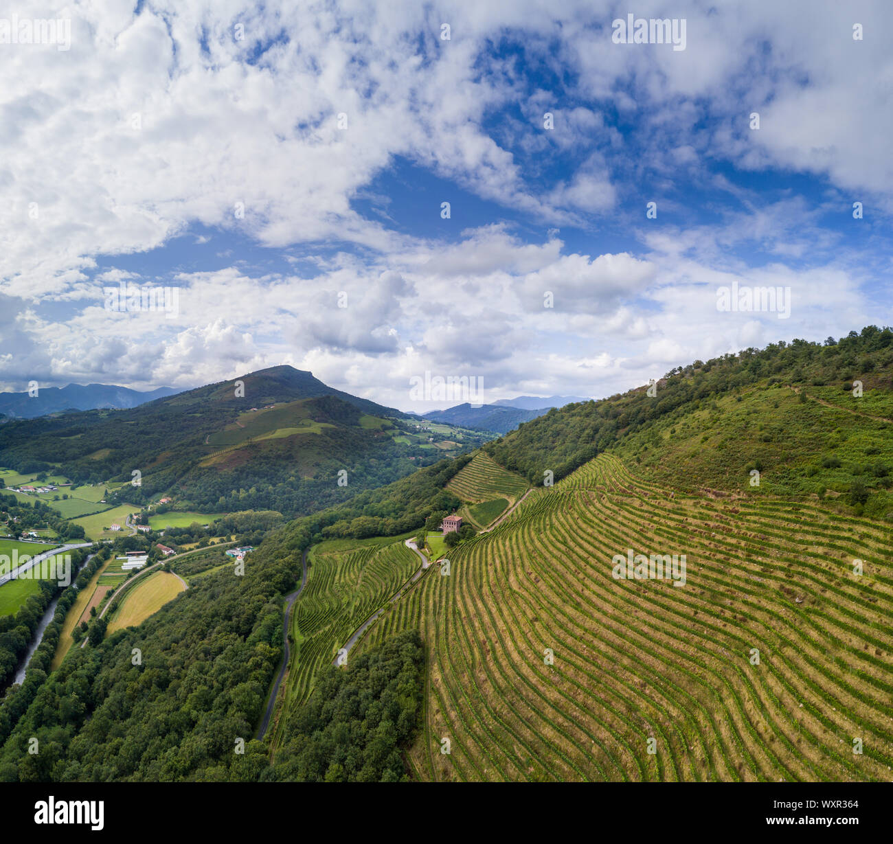 Irrouleguy Vineyards in the Basque country, France Stock Photo - Alamy