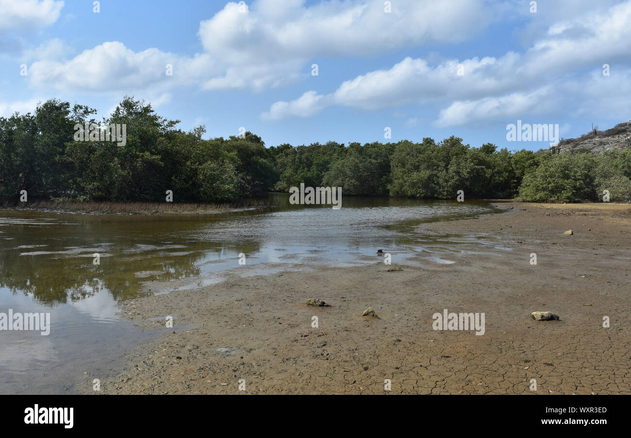 A look at the remote Spanish Lagoon with the mangroves and mud flats ...