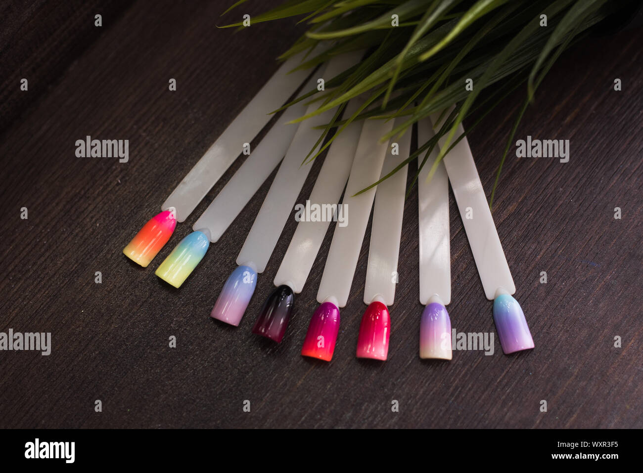gradient of different colors in a manicure. palette of tips with ...