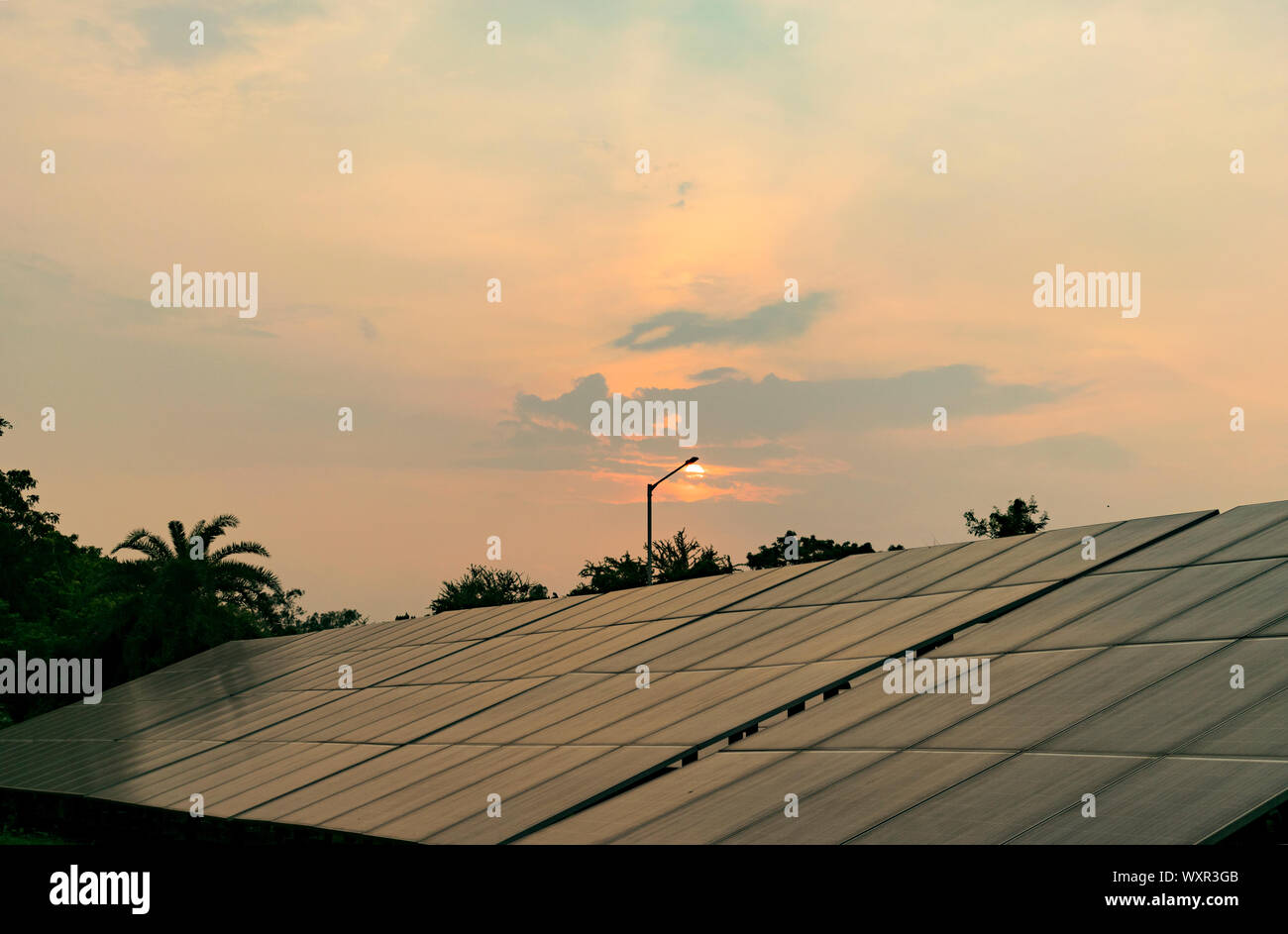 Solar power plant at sunset, India Stock Photo - Alamy