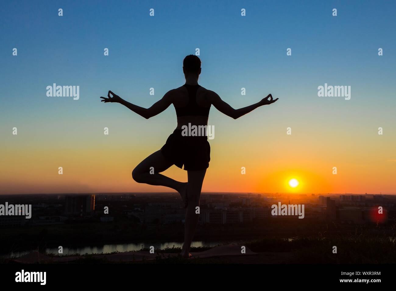 Lotus tree hi-res stock photography and images - Alamy