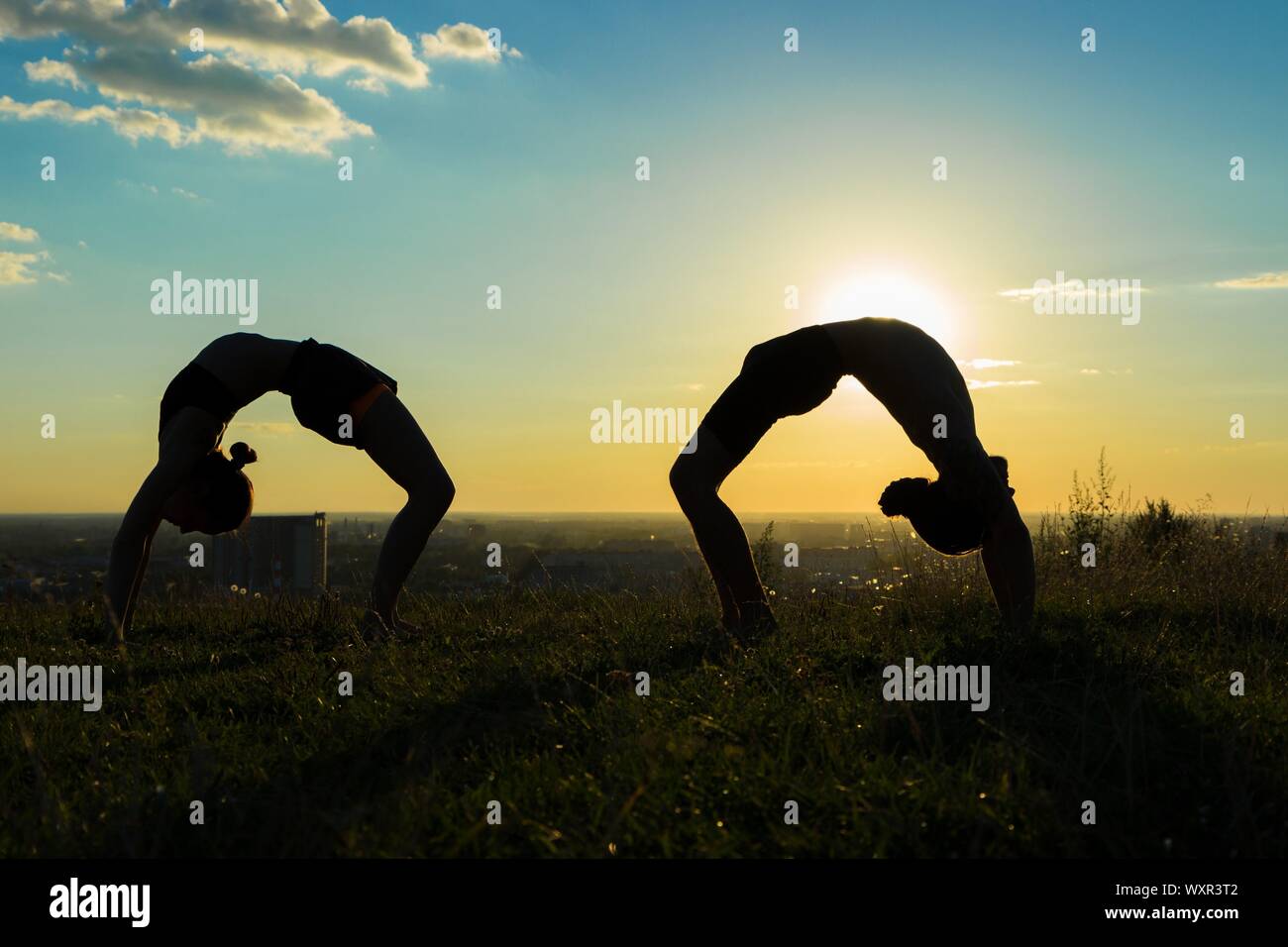 Wheel Pose Silhouette