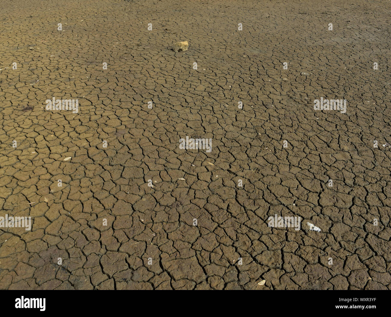 Cracked and dried mud flats of the Spanish Lagoon Stock Photo - Alamy