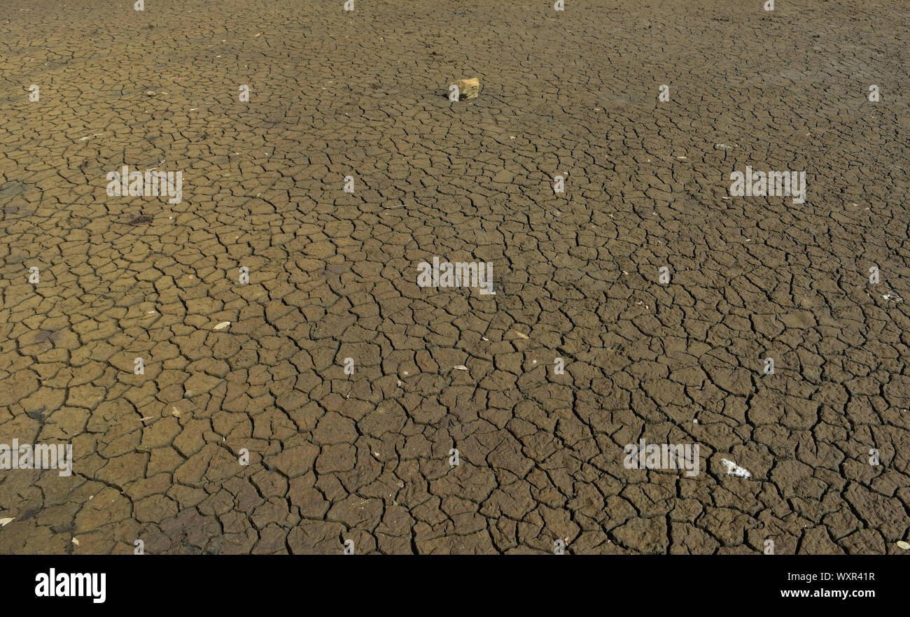Cracked mud and dried mud flats of the Spanish Lagoon Stock Photo - Alamy