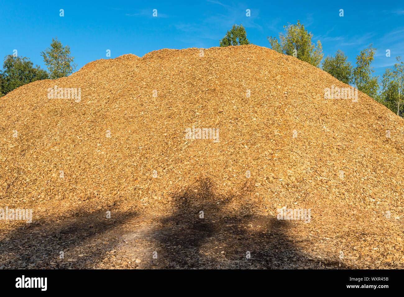 Pile of wood chips hi-res stock photography and images - Alamy