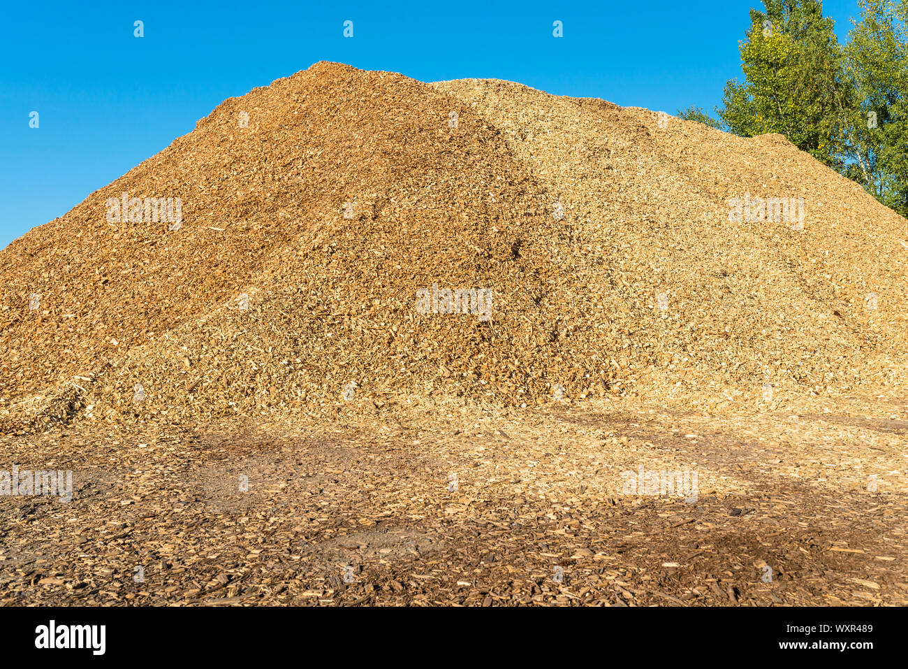 Pile Of Wood Chips Stock Photos & Pile Of Wood Chips Stock Images - Alamy
