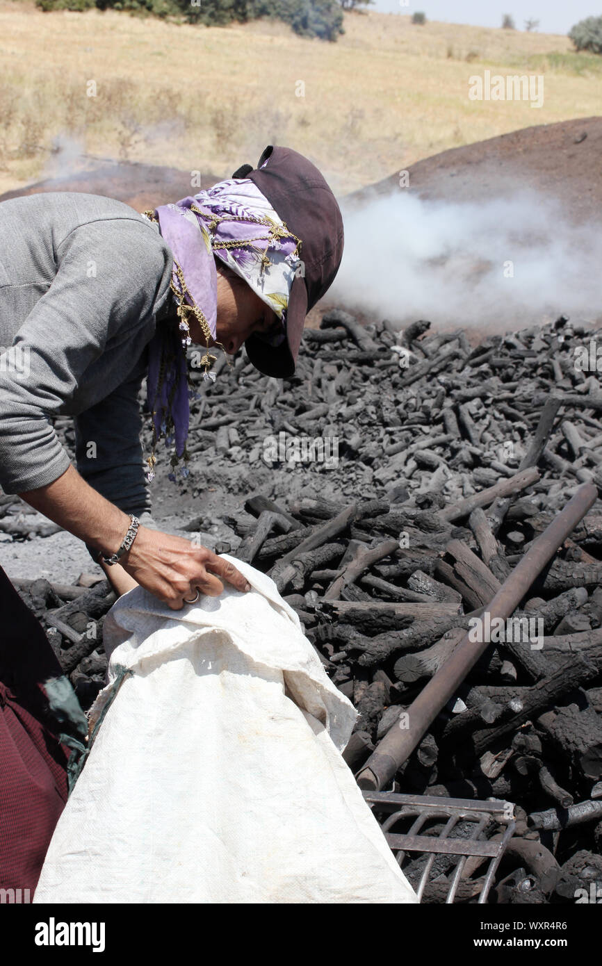 Safety coal mine safety and health hi-res stock photography and images ...