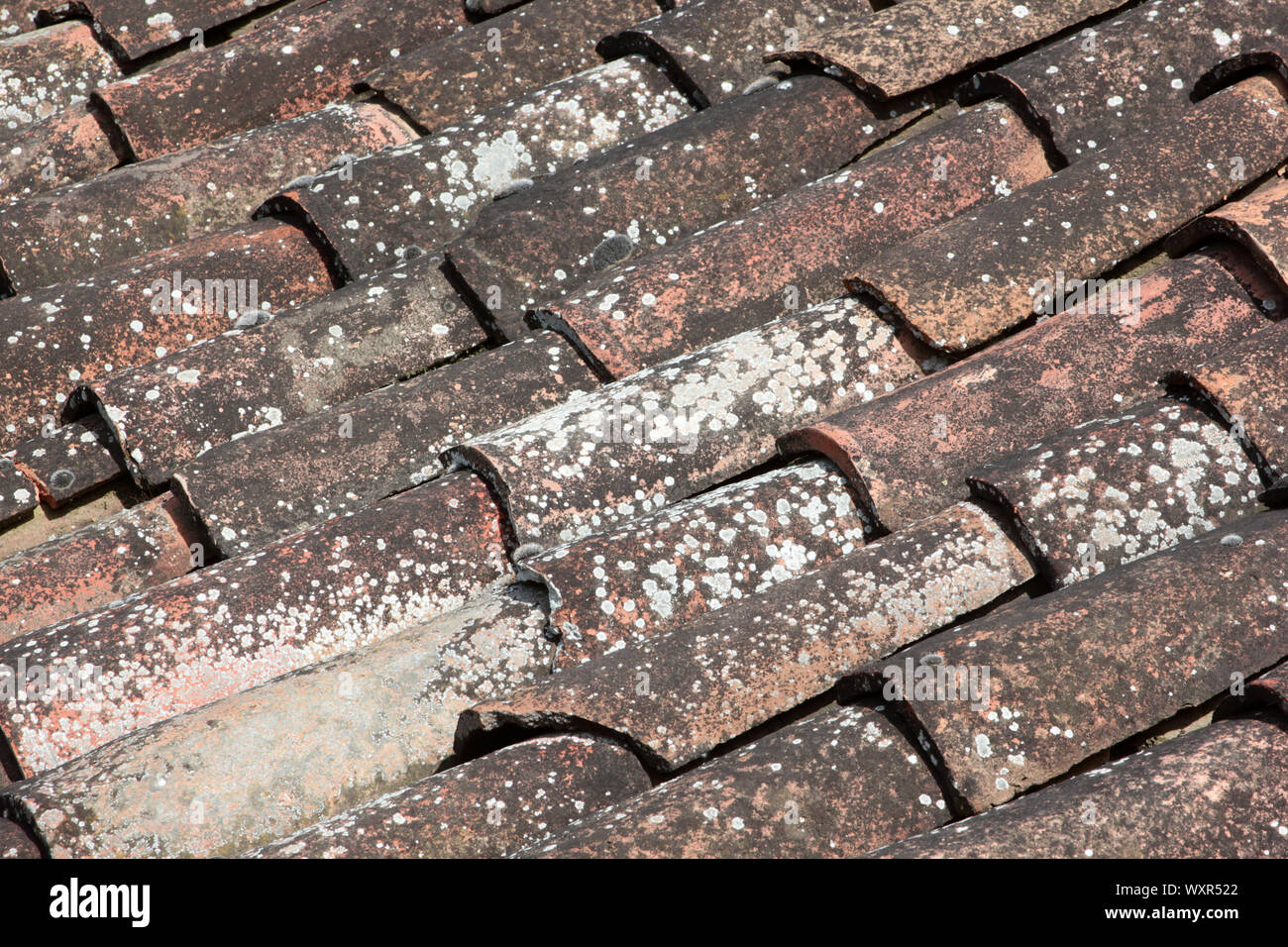 old brick tiles on the roof Stock Photo - Alamy