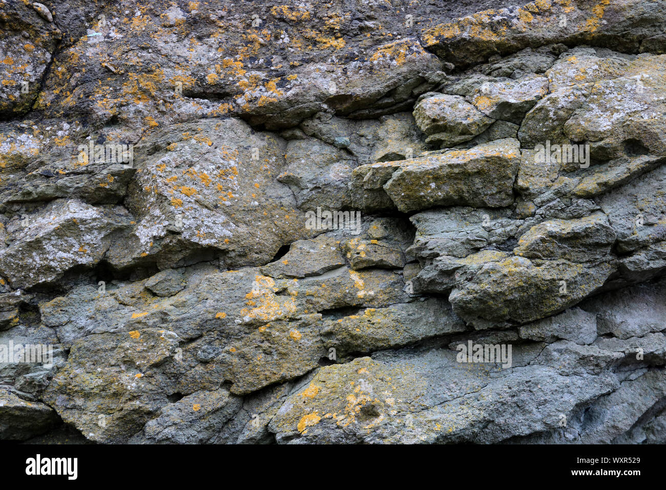 Rock face detail at coastal beach Stock Photo - Alamy