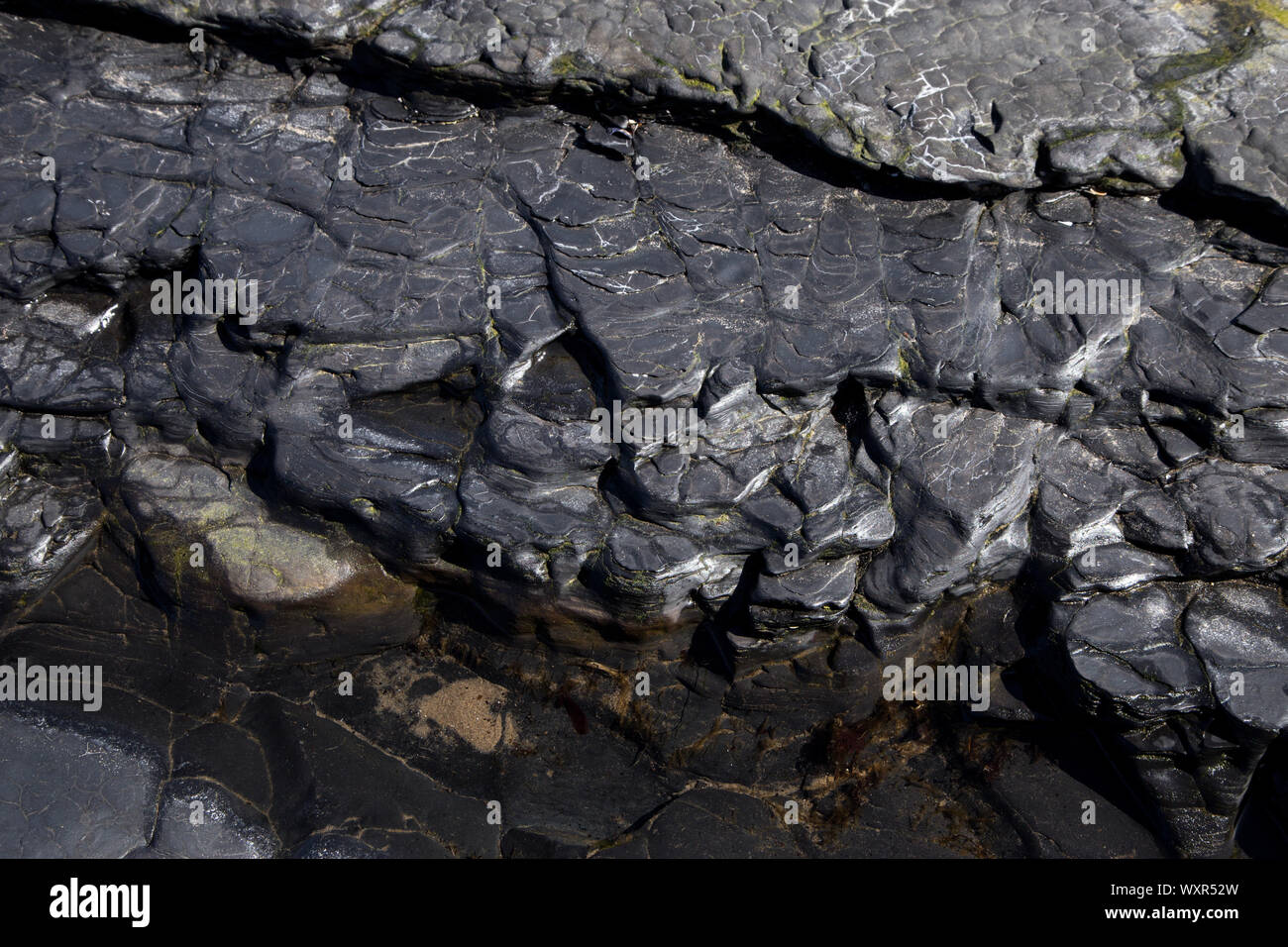 Coastal volcanic rock formation at beach in Scotland Stock Photo - Alamy