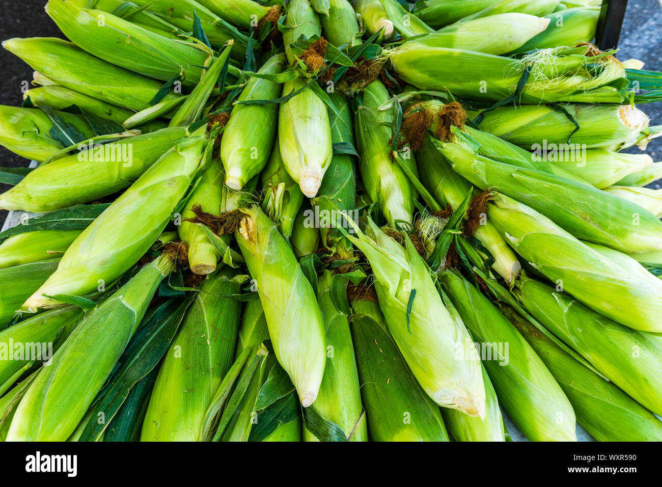 Coren hi-res stock photography and images - Alamy