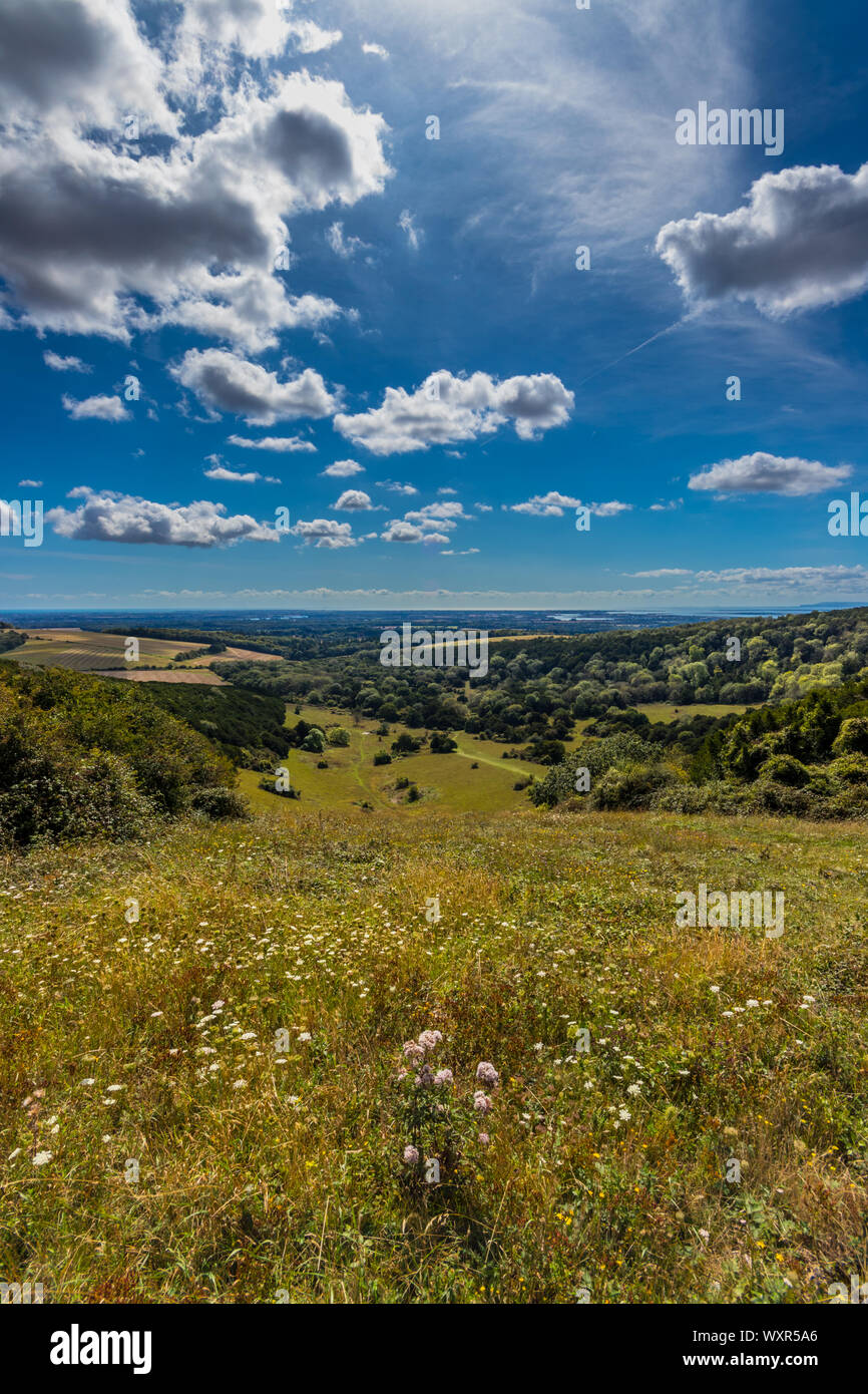 Landscape view across Kingley Vale, West Stoke near Chichester, West ...