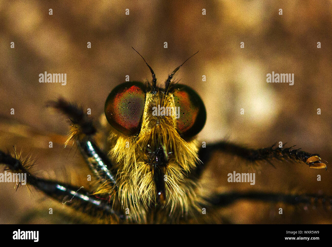 Round lensed hi-res stock photography and images - Alamy