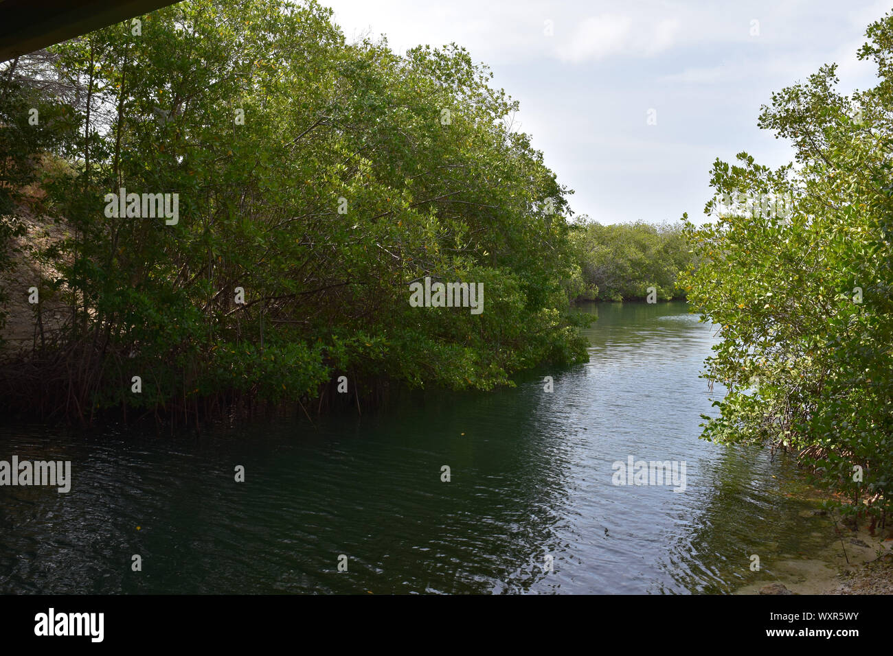 Spanish Lagoon river flowing under the bridge Stock Photo - Alamy