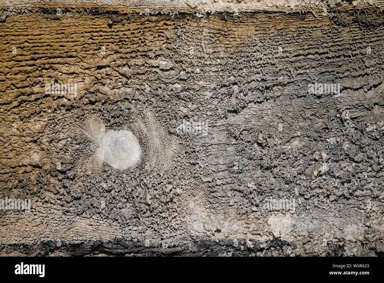 Salt stain on planks of wood, board texture Stock Photo - Alamy