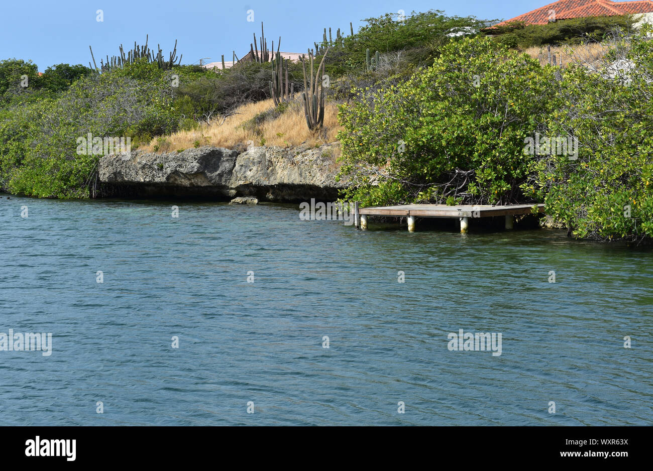 Mango halto hi-res stock photography and images - Alamy