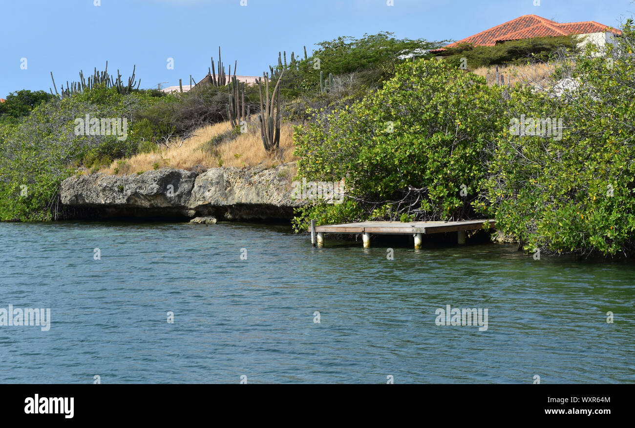 Mango halto hi-res stock photography and images - Alamy
