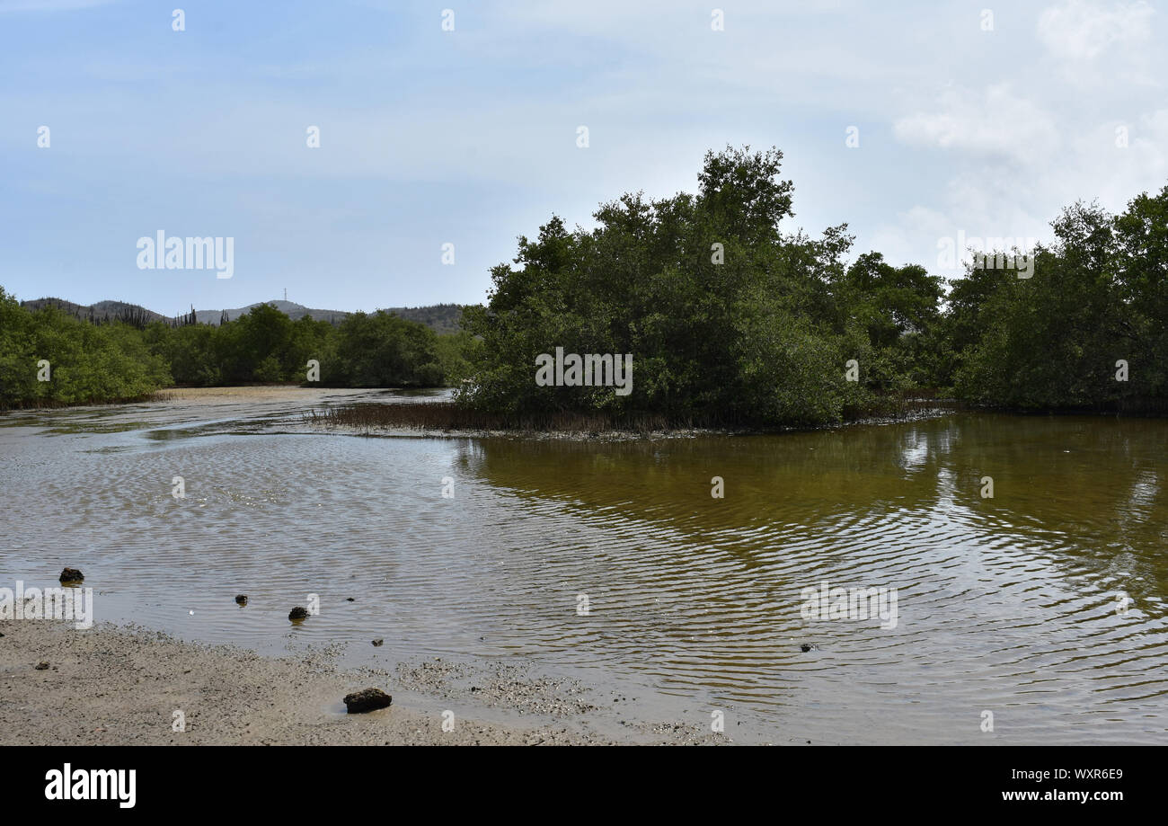 Mud tide pools and shallow waters around the Spanish Lagoon in Aruba ...