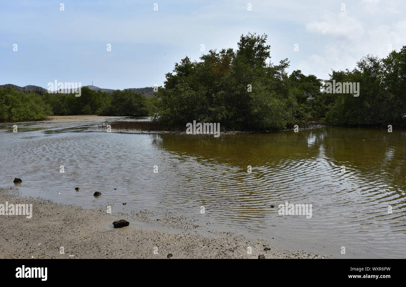 Shallow waters tidal pools hi-res stock photography and images - Alamy