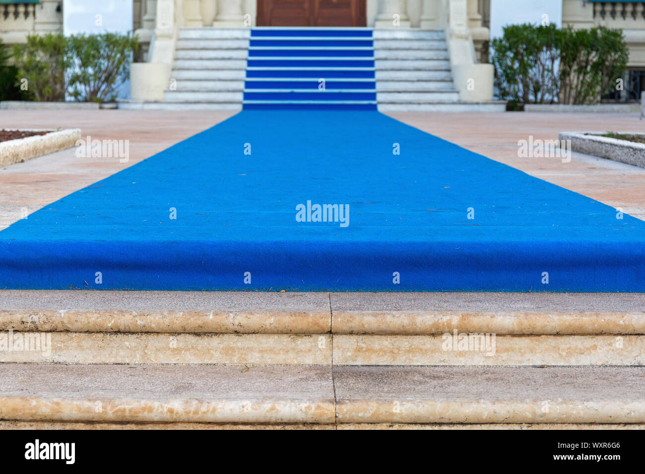 Blue carpet stairs hi-res stock photography and images - Alamy