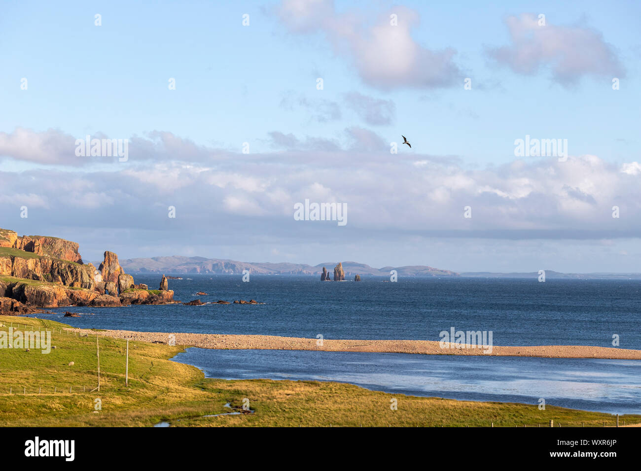 Braewick Beach & Da Drongs, Da Drongs are a collection of spectacular ...
