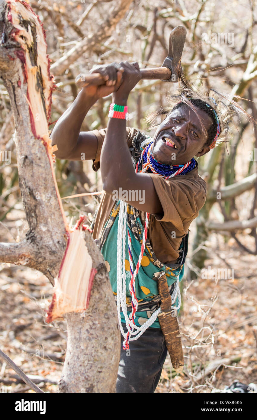 Hadza honey hi-res stock photography and images - Alamy