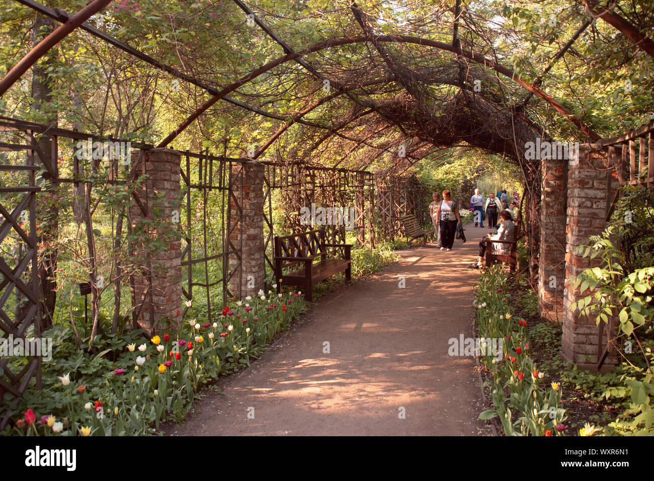 Aptekarskiy ogorod (Botanical garden) on Prospekt mira Stock Photo - Alamy