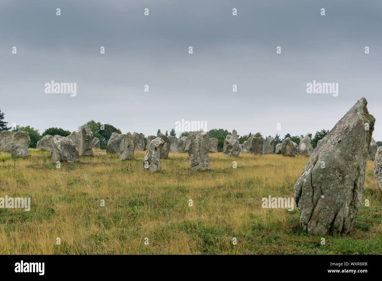 view of prehistoric monolith stone alignments in Brittany at Carnac ...