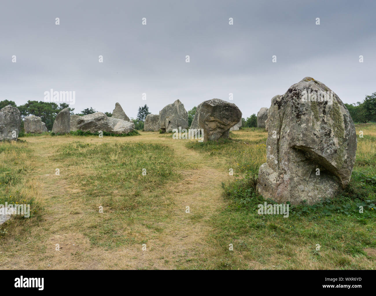 view of prehistoric monolith stone alignments in Brittany at Carnac ...