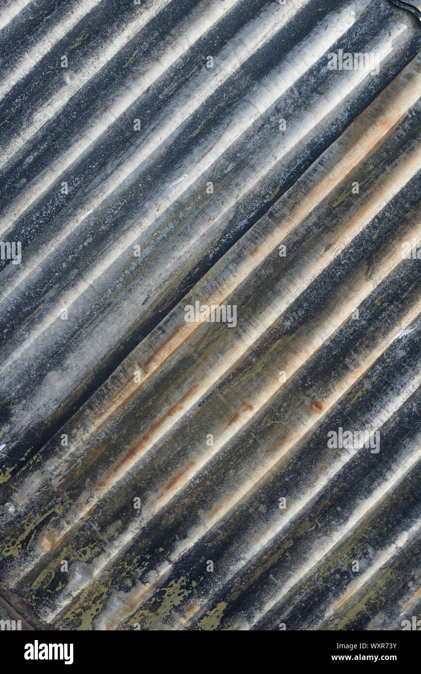 Corrugated iron sheet close up of detail and texture showing lines and ...