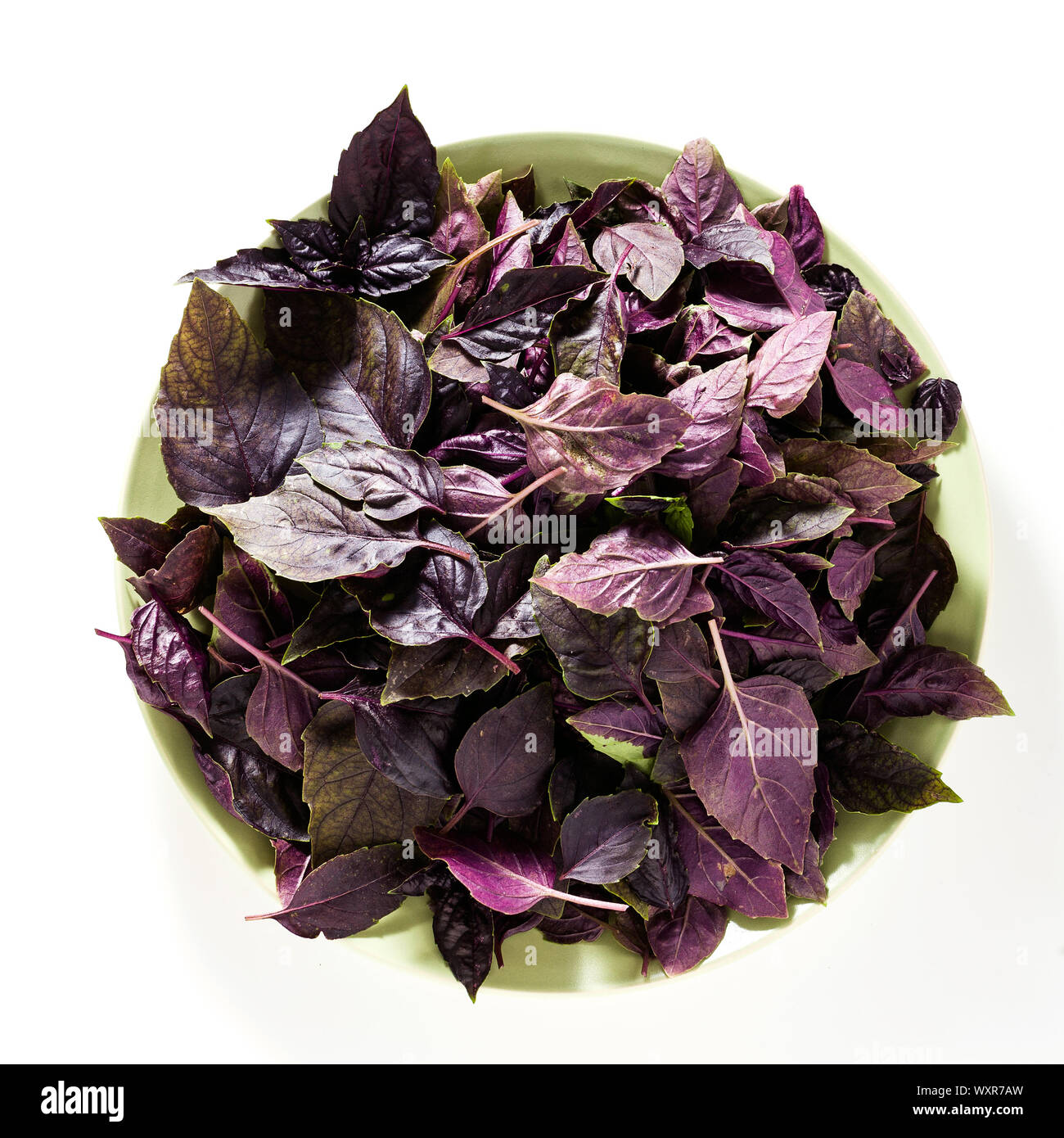 Red genovese basil hi-res stock photography and images - Alamy