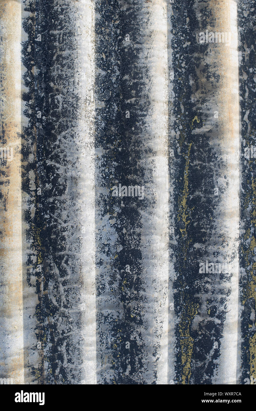 Corrugated iron sheet close up of detail and texture showing lines and ...