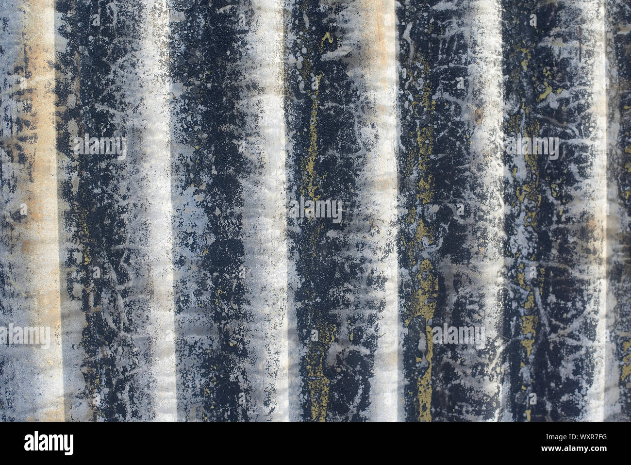 Corrugated iron sheet close up of detail and texture showing lines and ...