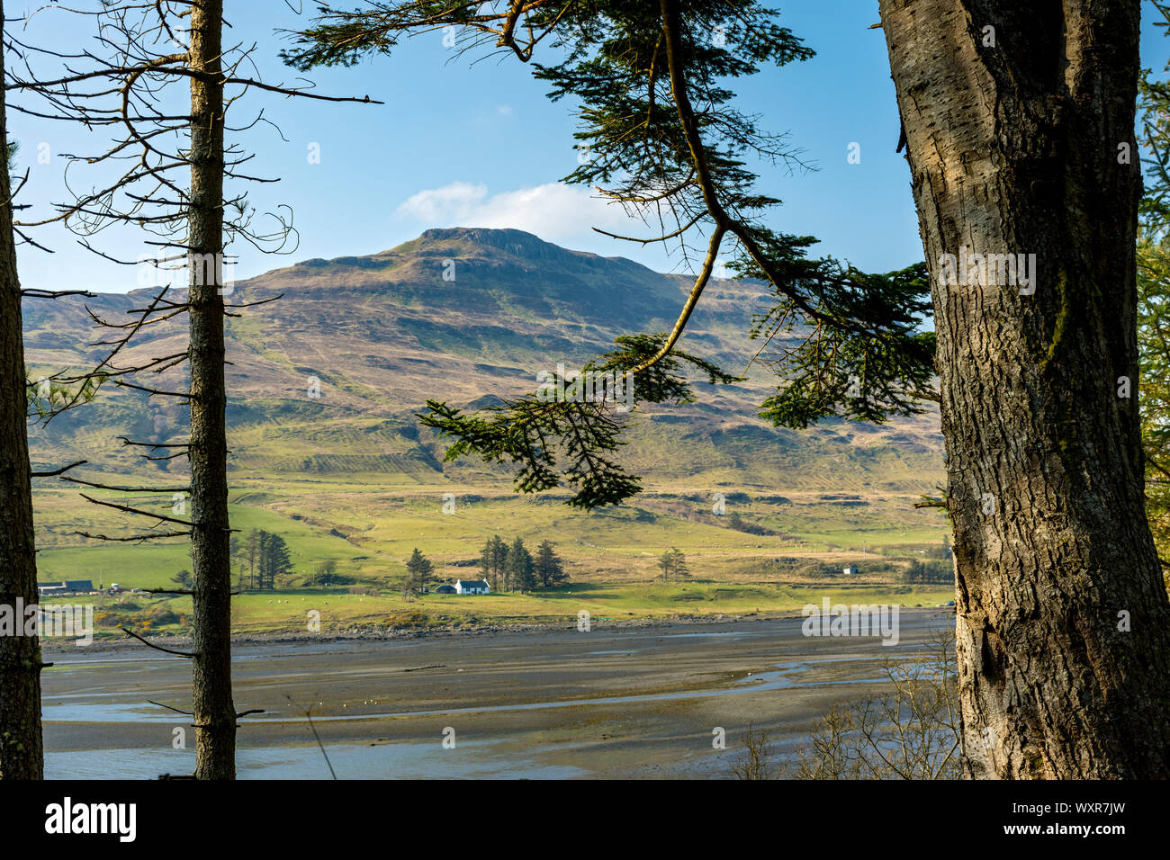 The hill of Biod Mòr from a forestry track in Glen Brittle Forest above ...