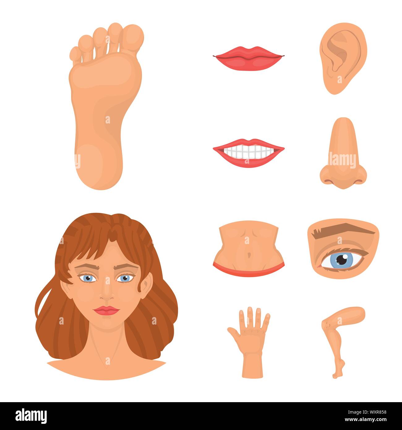 Isolated object of body and part icon. Collection of body and anatomy ...