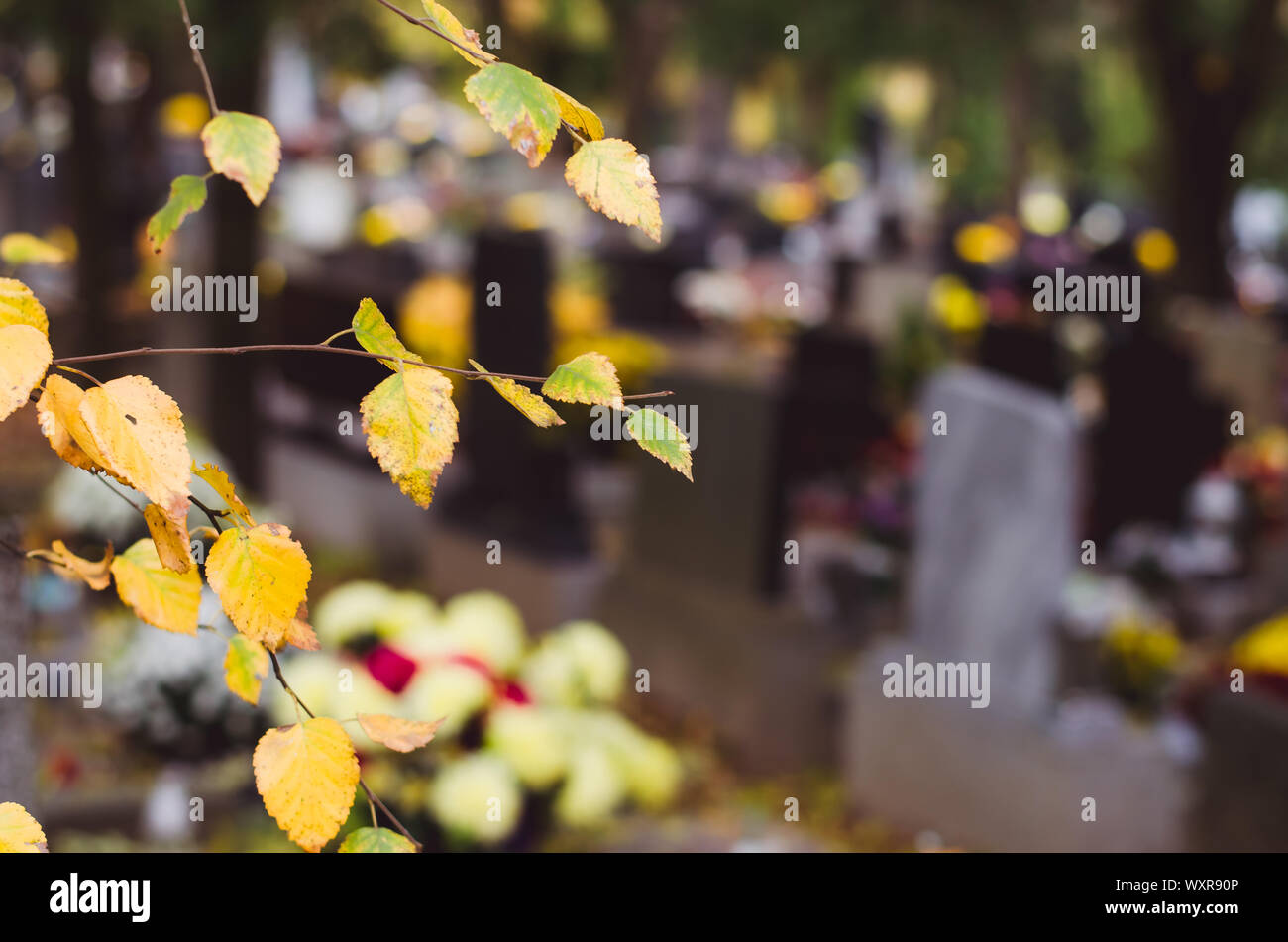 view to the tombstone decorated during religious event Stock Photo - Alamy