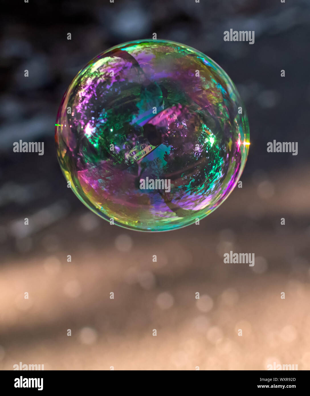 Coloured translucent soap bubble floating in the air with reflection of ...