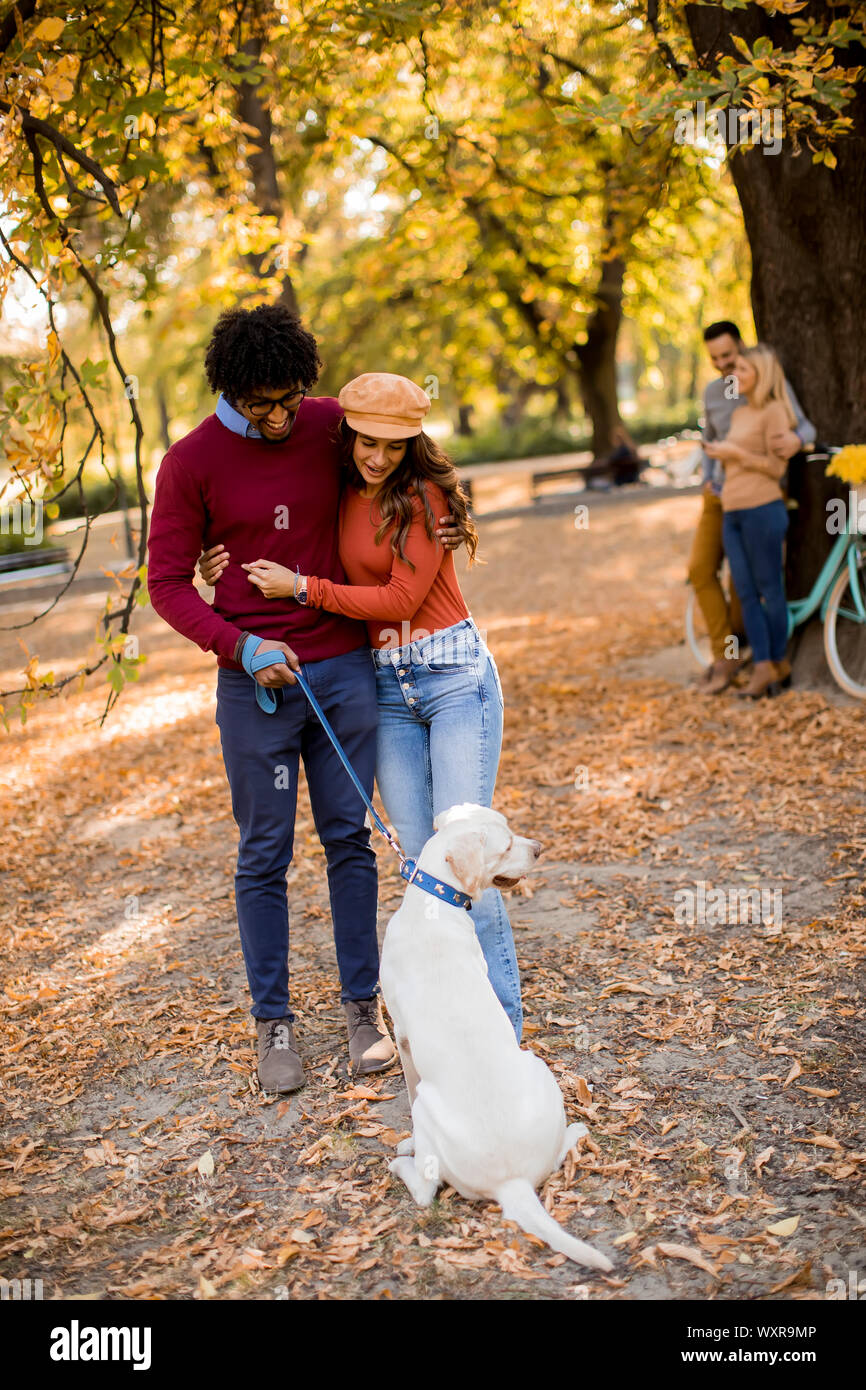 Multiracial young couple walking with dog in autumn park Stock Photo ...