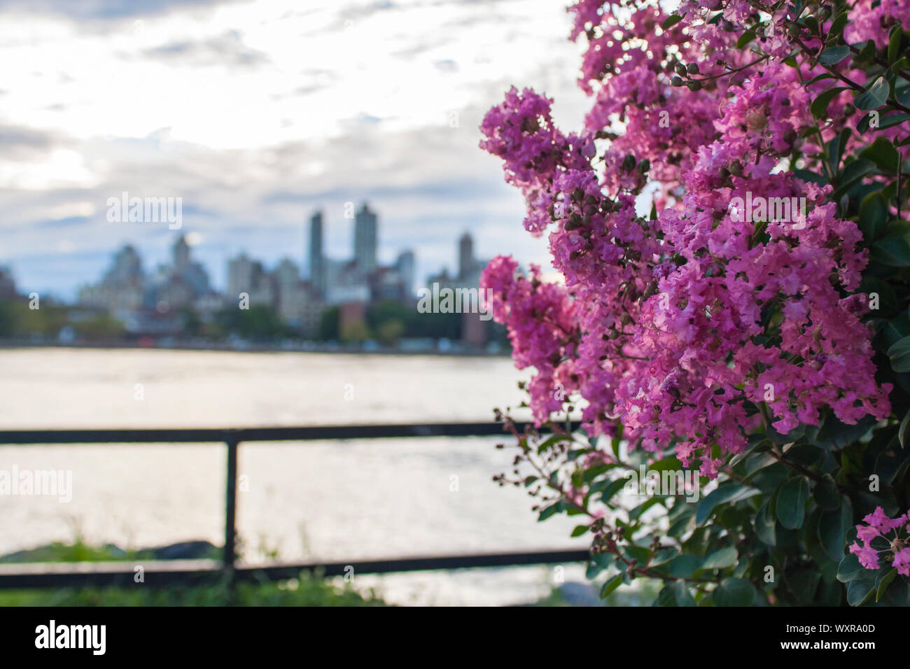 Trough of flowers hi-res stock photography and images - Alamy