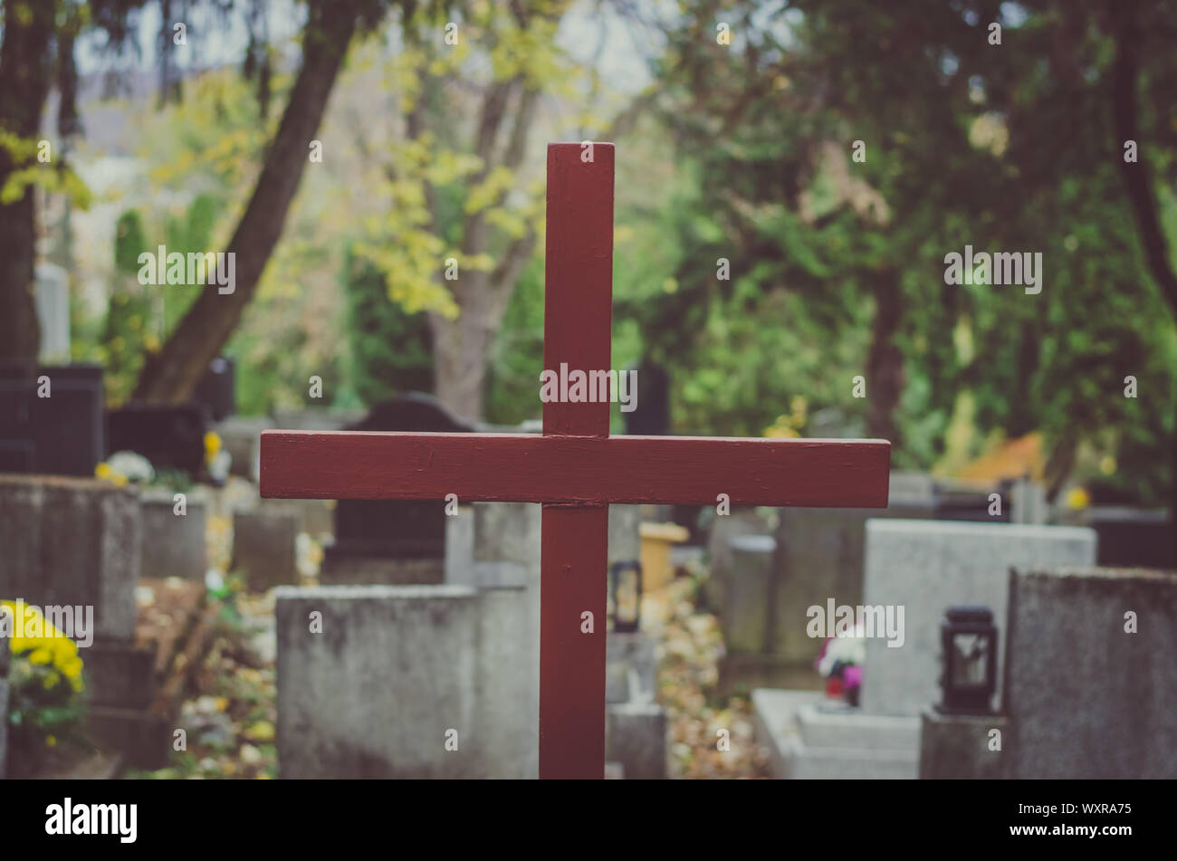 Wooden cross in cemetery hi-res stock photography and images - Alamy