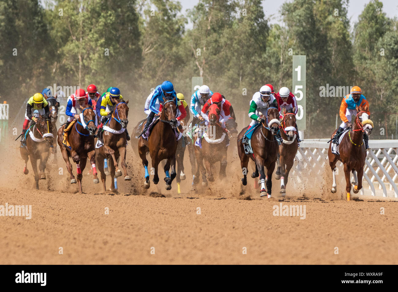 Horse Racing from King Khalid, Taif, Saudi Arabia 29/06/2019 Stock ...