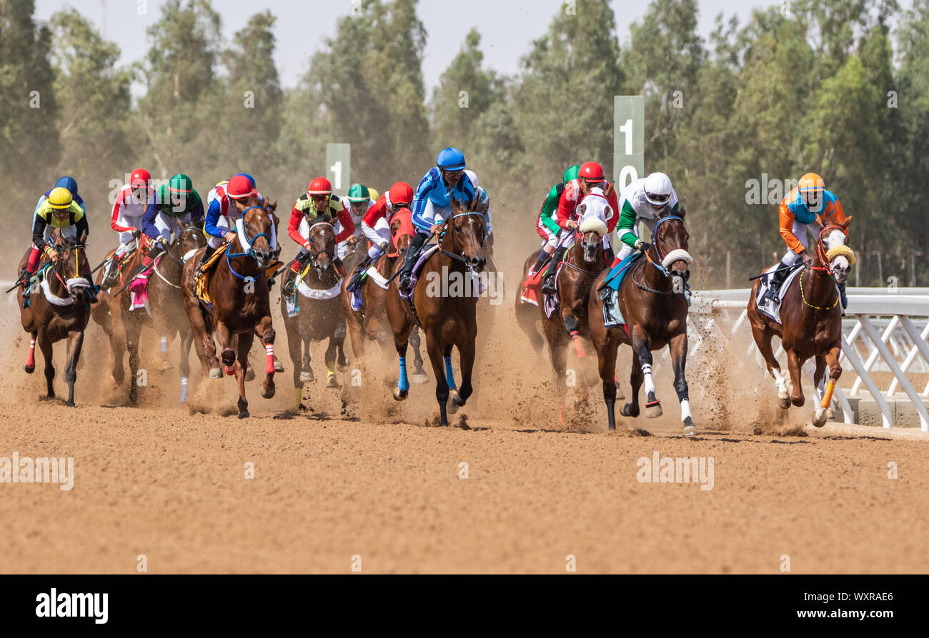 Horse Racing from King Khalid, Taif, Saudi Arabia 29/06/2019 Stock ...