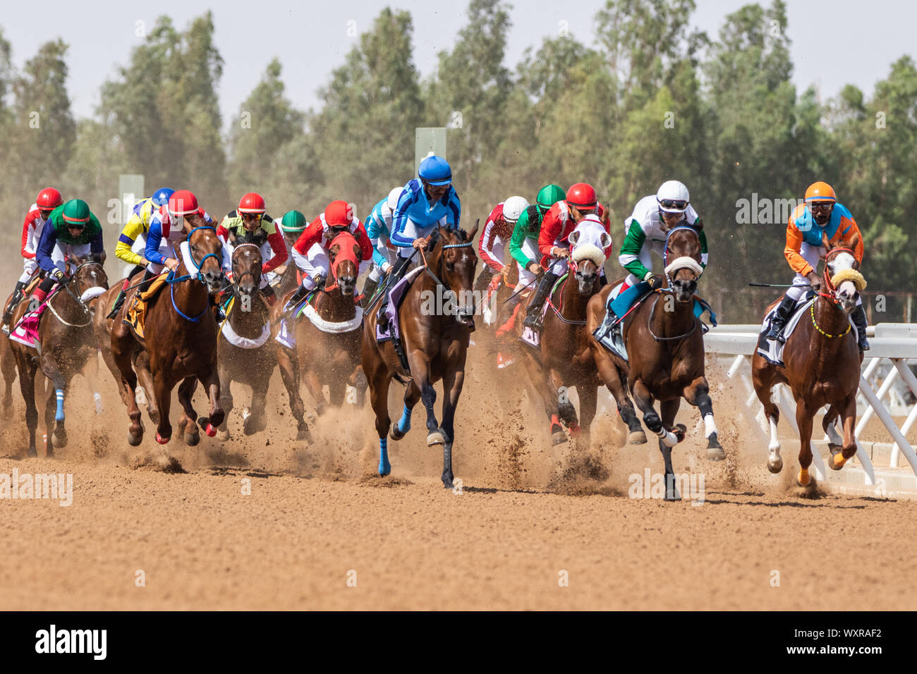 Horse Racing from King Khalid, Taif, Saudi Arabia 29/06/2019 Stock ...